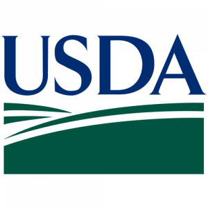 RiVidium – The Missing Element in Technology